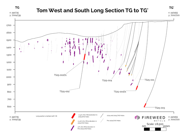 Fireweed Intersects Zinc Mineralization in 300 m Step Out at Tom South ...